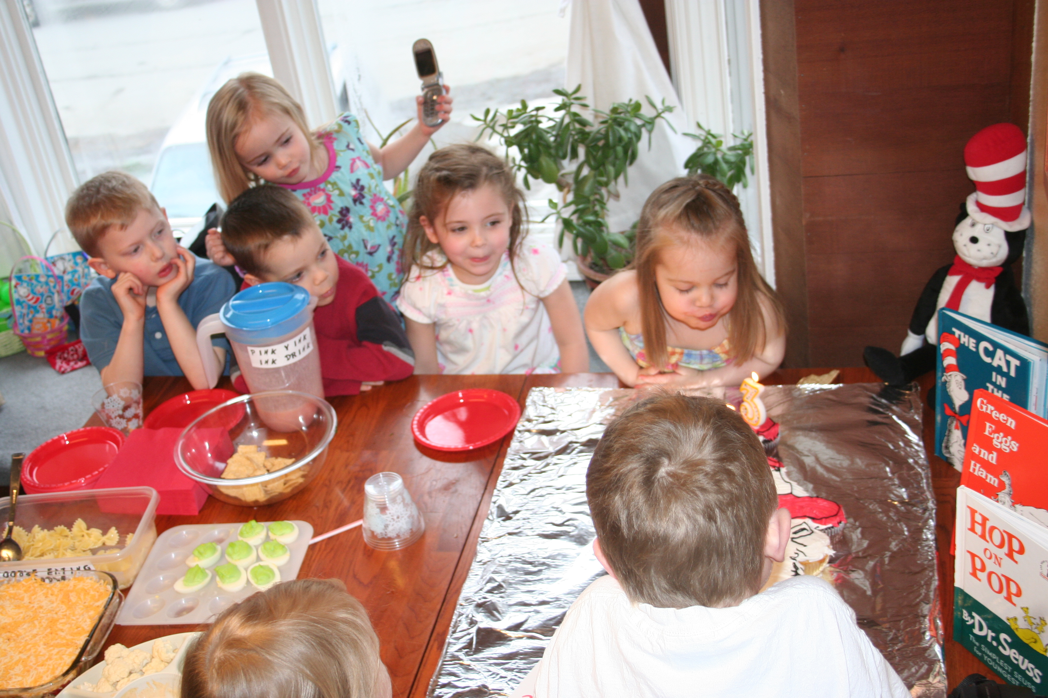 Dr. Seuss Birthday Party – Profoundly Ordinary